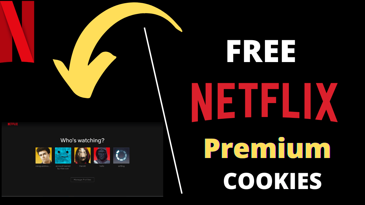 Netflix Cookies 100 Working Hourly Updated Assure Master